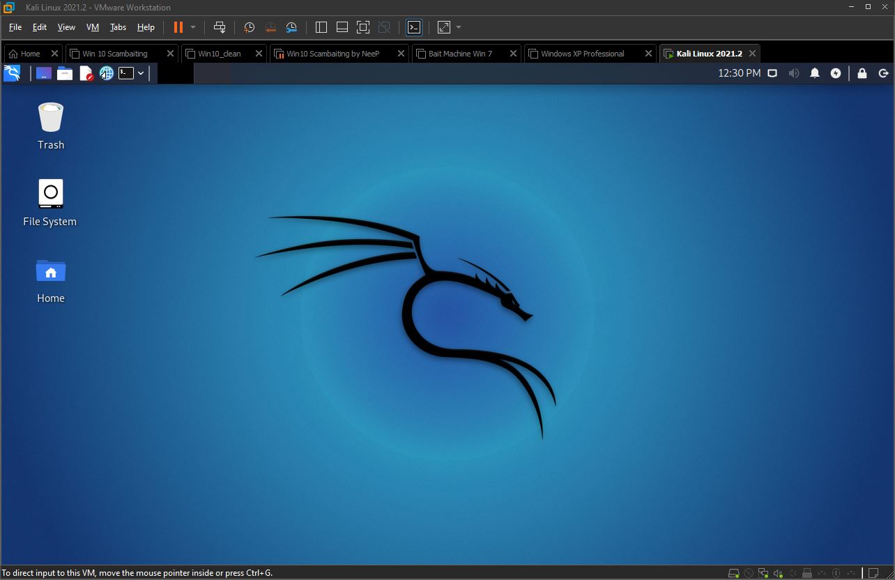 Virtual Machines – NeeP Scambaiting